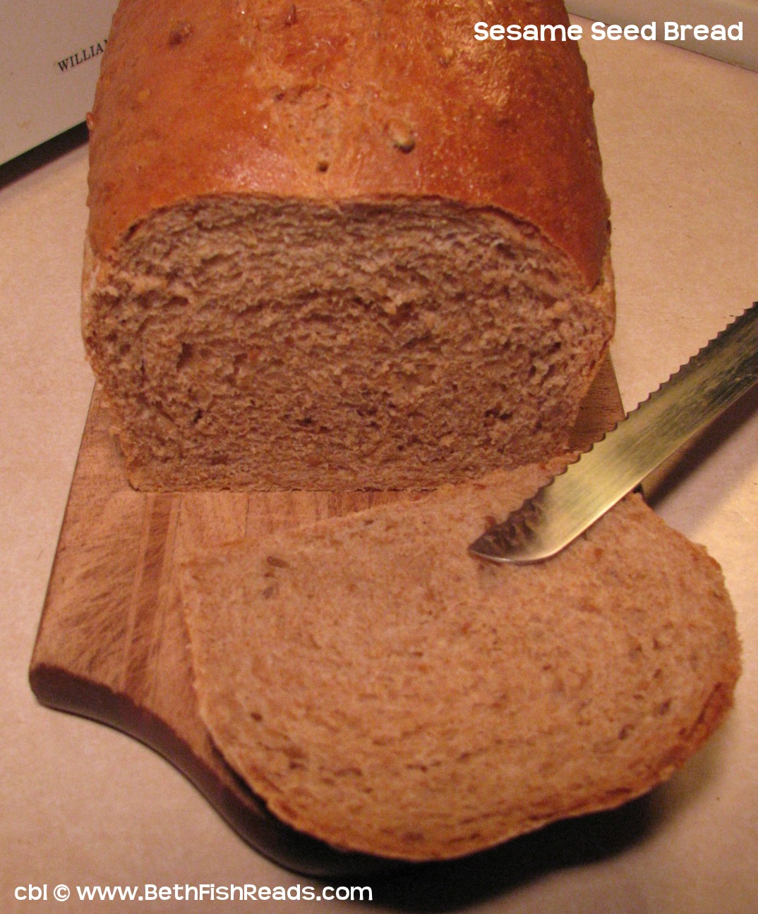 Beth Fish Reads: January 2011