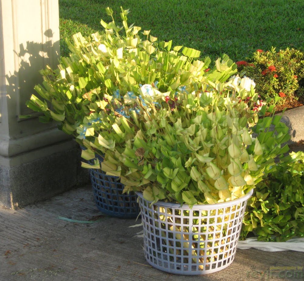 Reyjr.com: Living Batangueño: Palaspas (Palm Sunday)