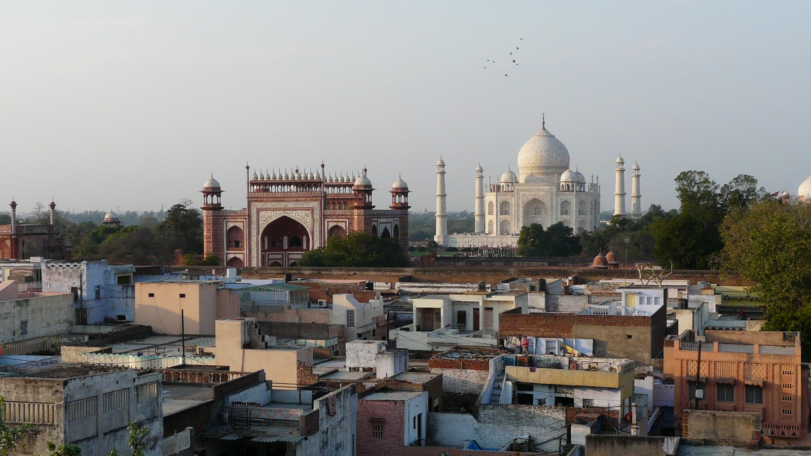 The flying carpet diary: Agra
