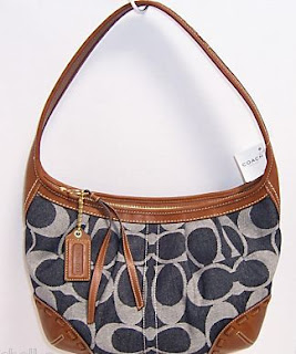 Coach Ergo Signature Denim Pleated Hobo