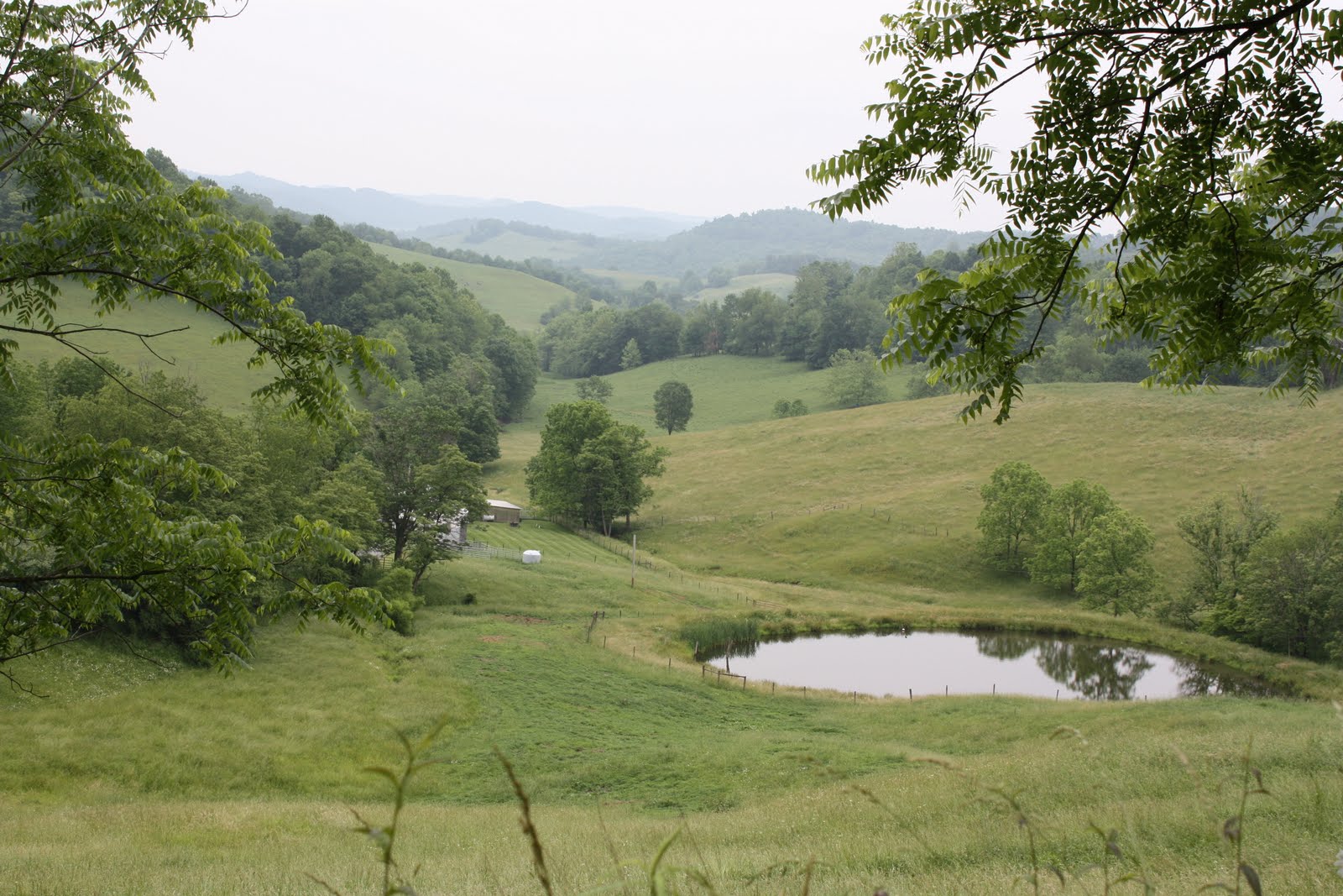 Exploring West Virginia County by County: Taylor County