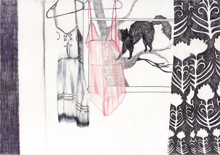 Hazel Critchley illustration: drawings for the evil cat