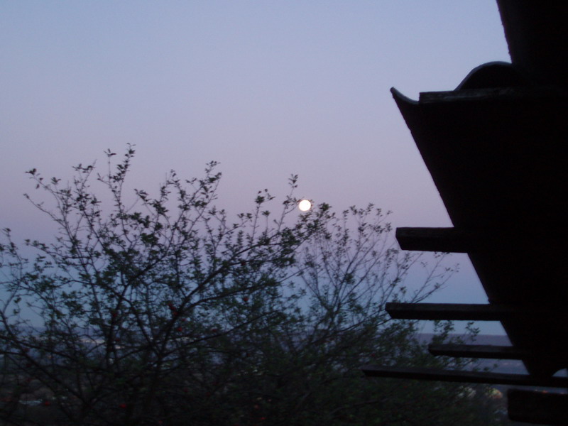 Blogul Simonei: De ce îmi doresc un Nikon şi multe obiective. Poze cu ...