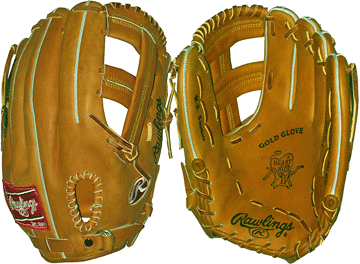 Rawlings Gloves - New and Old: Rawlings Pro 6 hf