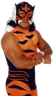 EL SILENCIO Y LA LOCURA: FELINO... FELINILLO.