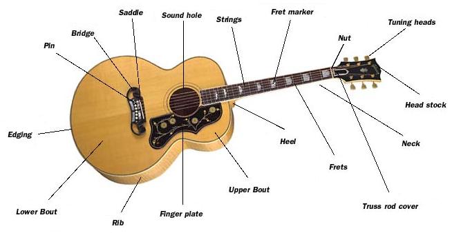 guitarmake: More Anatomy and Construction Overview