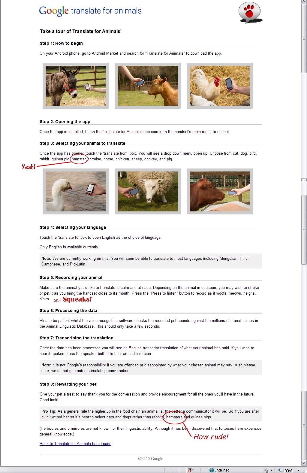 Bobo the Hamster: Google develop an animal translation tool!