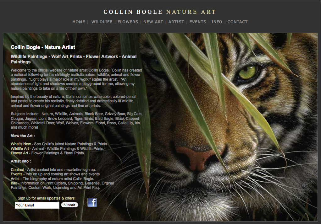 ArtChain Art Site of the Week: High impact images create a dramatic website