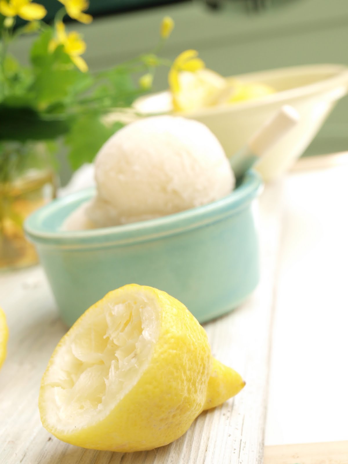 Sorbet au citron | Pause Gourmande
