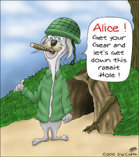 Brain Bounce|Funny Cartoon Humor: Cartoon Rabbit: Down the Rabbit Hole
