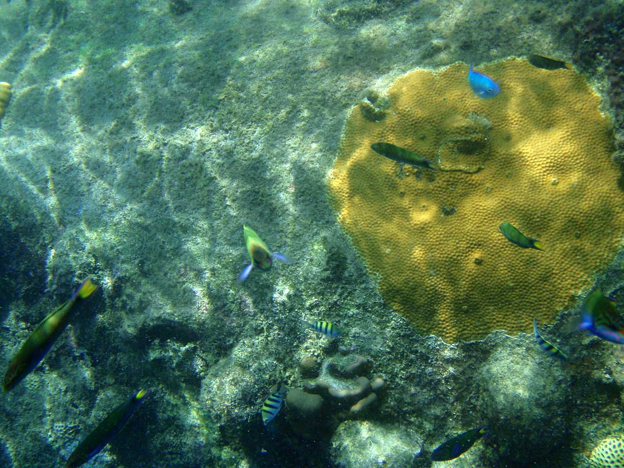 One Foot Forward. Repeat.: Pulau Lang Tengah