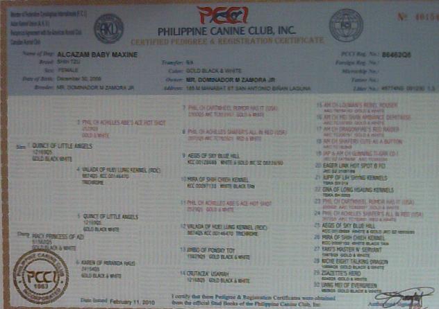 How Much Does It Cost To Register A Dog With Pcci