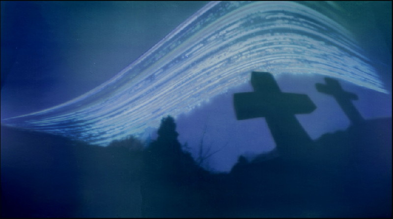 birds and bees: Justin Quinnell does Pinhole Photography