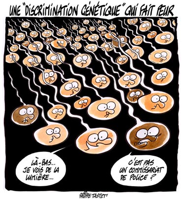 ÉGALITÉ...: De la hiérarchie des races en Belgique ou de ses 5 niveaux ...