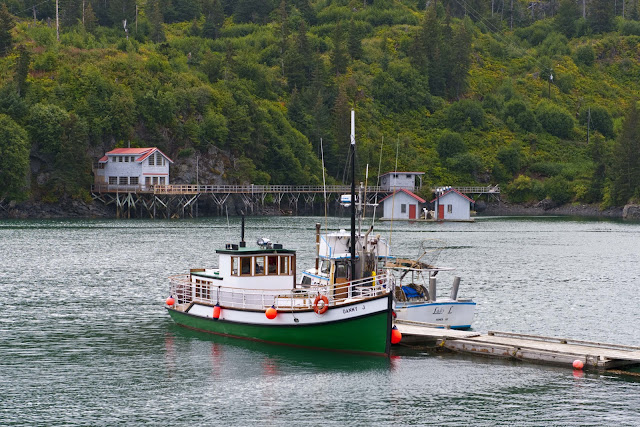 Elizabeth and Gary's Magic Bus Tour: South in Alaska