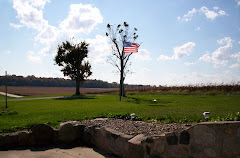 Life in the Dweeb Lane: Clear Springs Auction