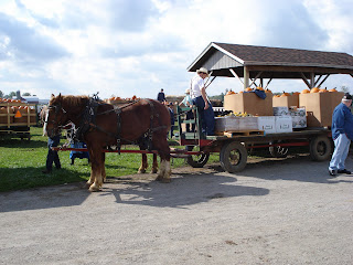 Life in the Dweeb Lane: Clear Springs Auction
