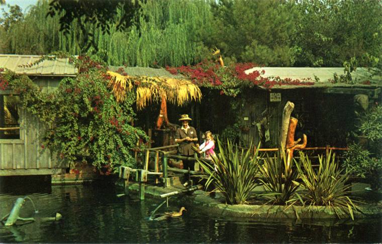 Meet The World: Jungle Island - Woodimals or Woodniks?
