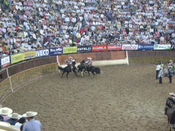 El mundo de ayer y hoy.: El Rodeo en Chile, una tradición que debemos ...