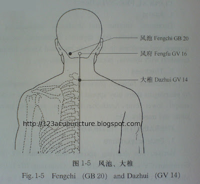 123 Acupuncture-Moxibustion Therapies: Clinical Presentations on Ageing ...