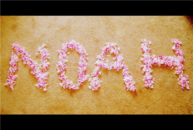 House of Collinsworth: Noah's Name Gallery