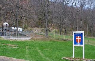 Wooly Pigs: Yet More Mosefund Piglet Pictures