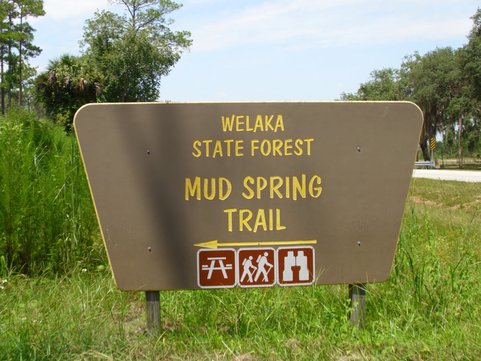 Our Year Outdoors: Trip 21: Welaka State Forest/Mud Spring Trail