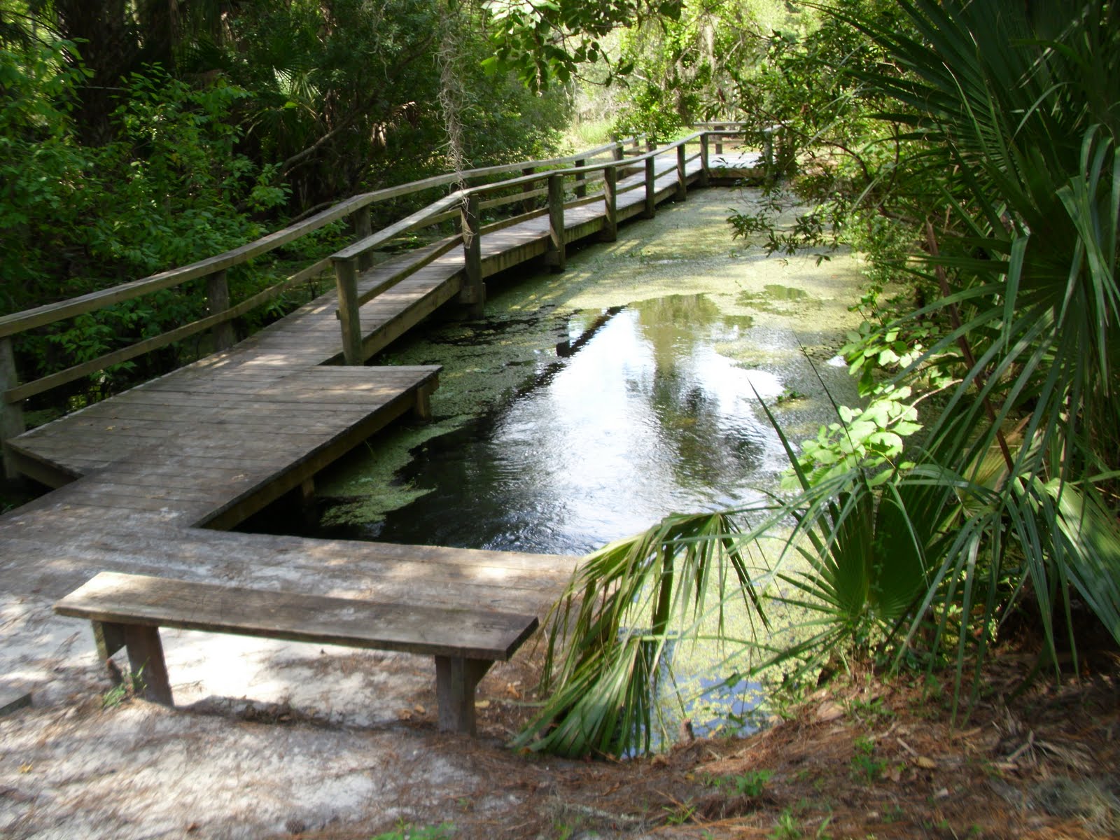 Our Year Outdoors: Trip 21: Welaka State Forest/Mud Spring Trail