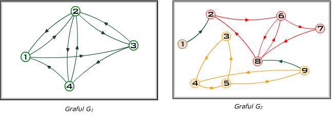 Grupa 2 :"Grafuri orientate": 2010