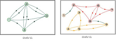 Grupa 2 :"Grafuri orientate": Graf tare conex
