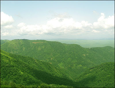 Where The Roads Take Me...: Along the dark winding roads to Peerumedu