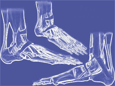 See www.nurturedbylove.ca for the active version of this blog: August 2010