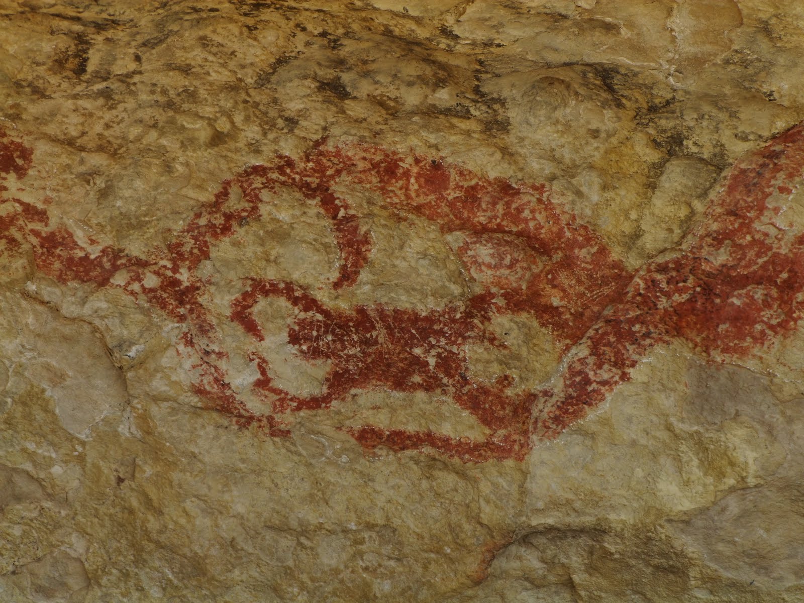 SchlauiaufReisen: Haere ra Aotearoa