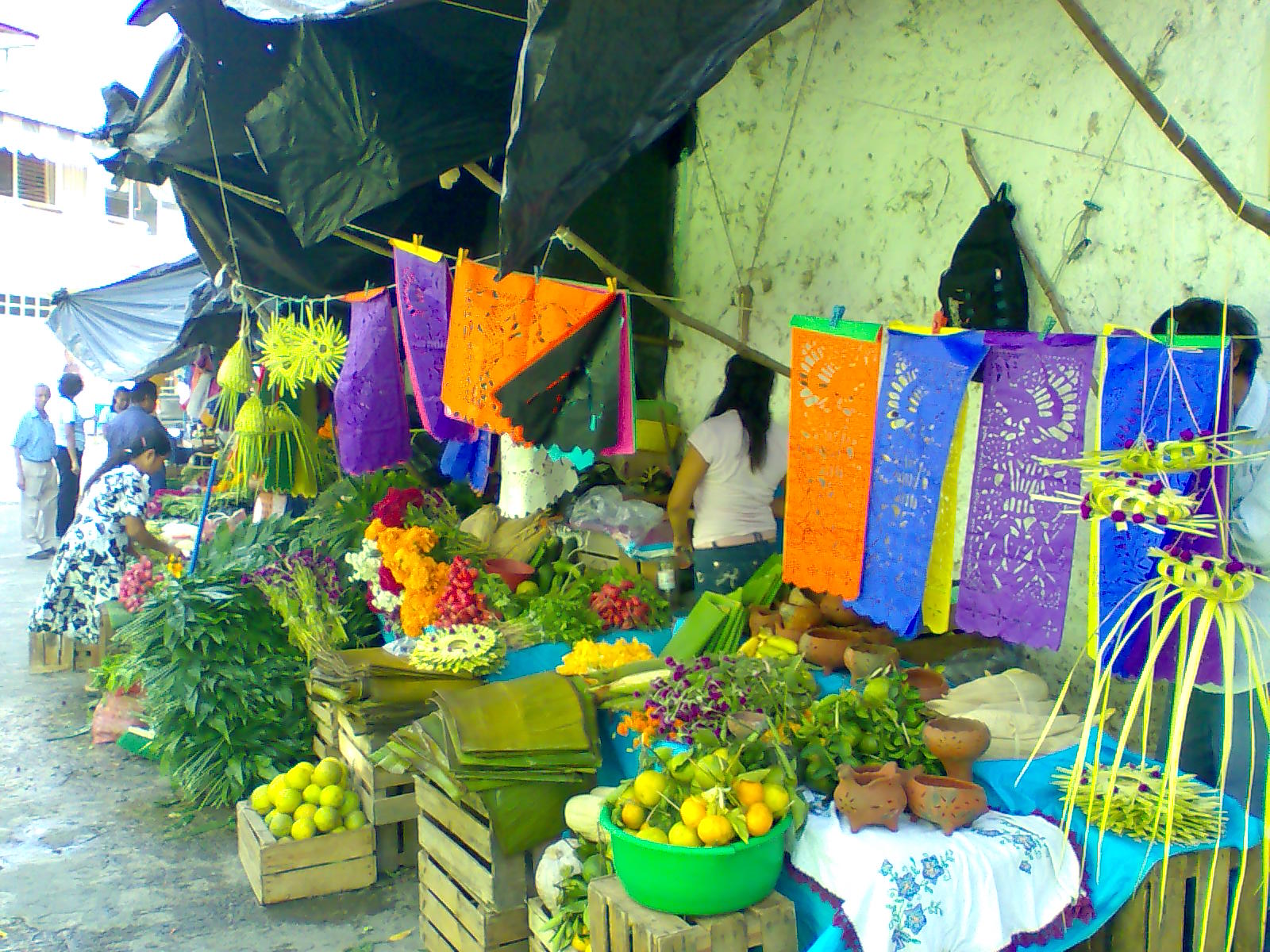 COMUNICANDO A PUEBLILLO Y EL LLANO PAPANTECO: IMAGENES DE OCTUBRE Y DIA ...