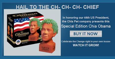 Hail to the Chia-f... Chia Pet Obama Hits the Market | The Gateway ...