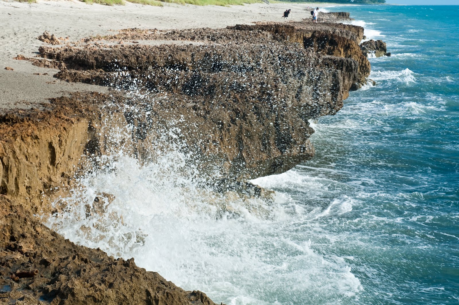 Focused Photographer: Blowing Rocks, Jupiter, Florida
