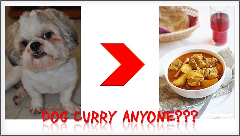 Can Dogs Have Curry