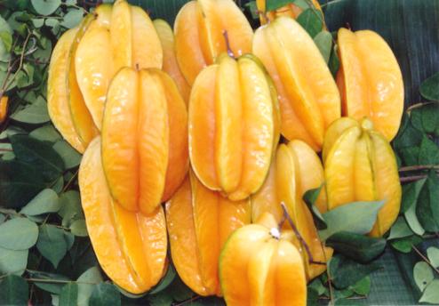 infoTERKINI: Rahsia Belimbing