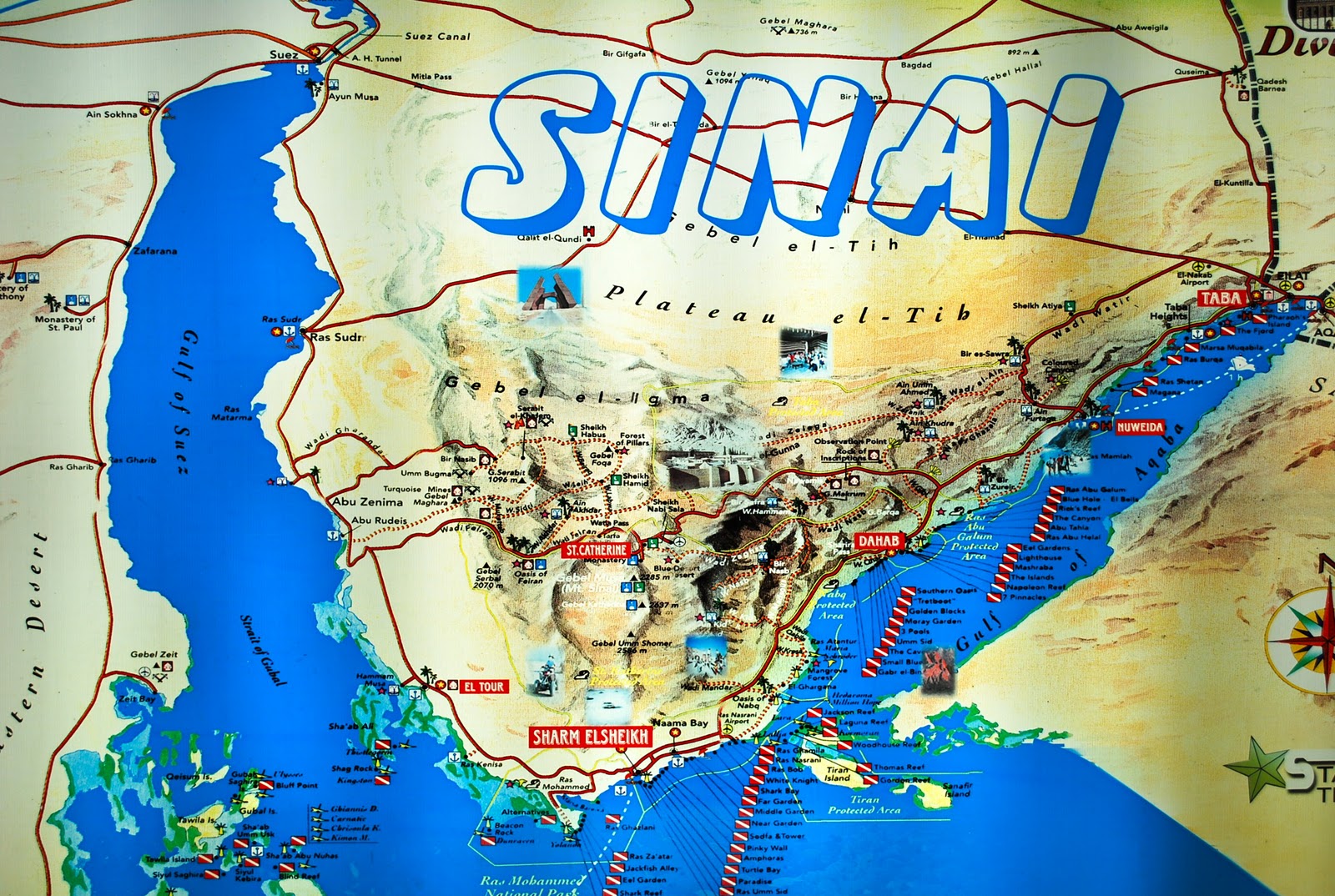 The Roaming Adventurer: Sharm El Sheikh - Diving paradise by the Red Sea