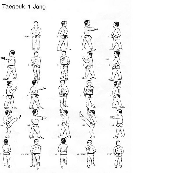 What all you can do ....: Karate and Taek Wan-doo beginners