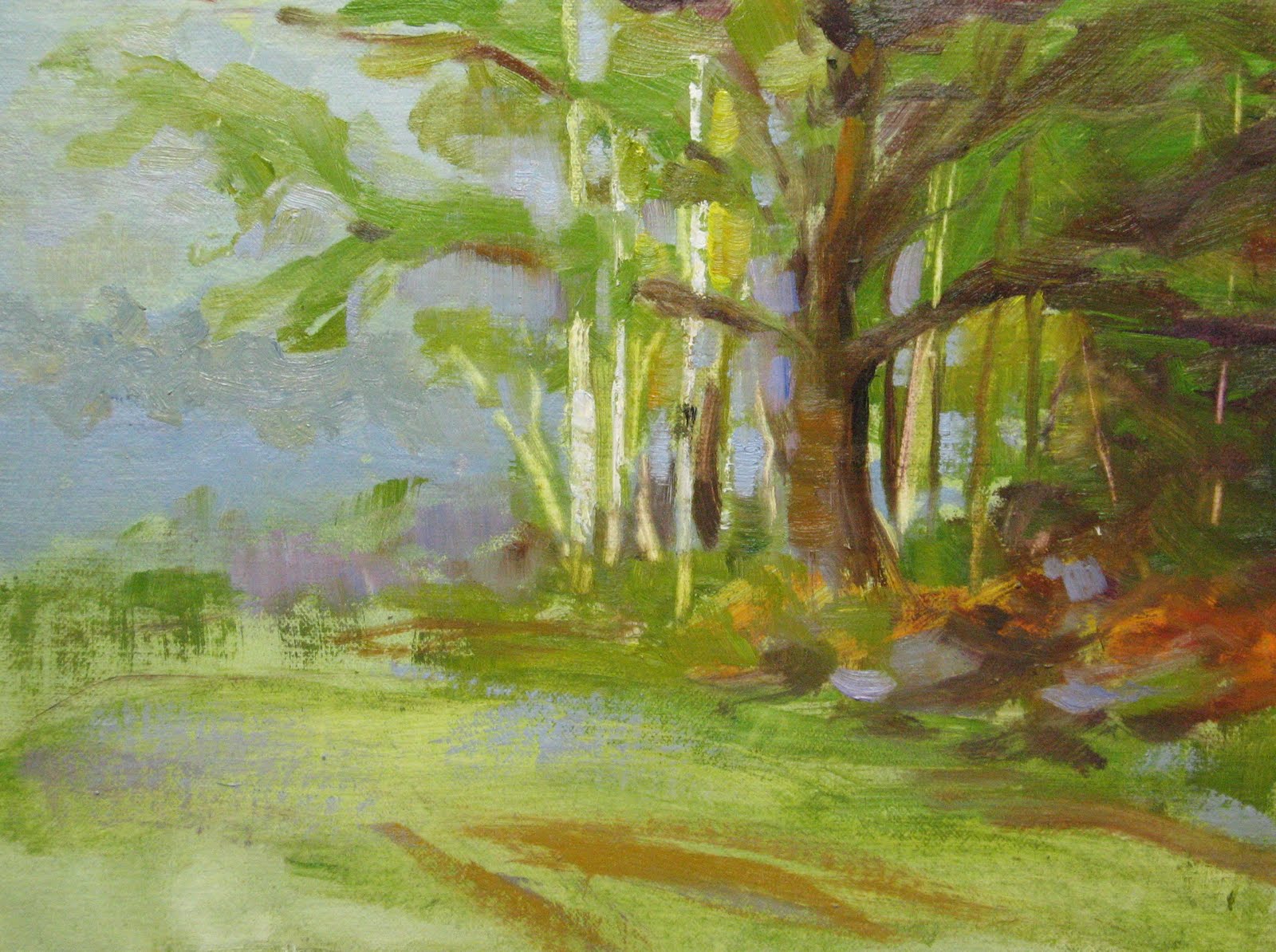 Marina's Painting a Day: Painting with Richard Schmid - first step