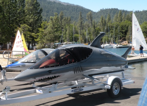 All Graphical: Dolphin & Shark Jet Ski