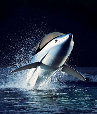 All Graphical: Dolphin & Shark Jet Ski