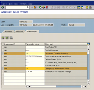 SAP Tips for HR: SAP HR - Personal Profile Parameter Settings