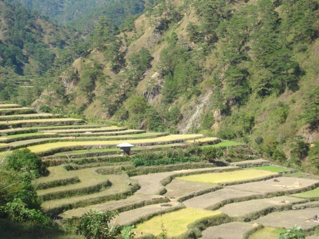the walking lakwatsero: BALBALAN, A Sanctuary of Virgin Forest
