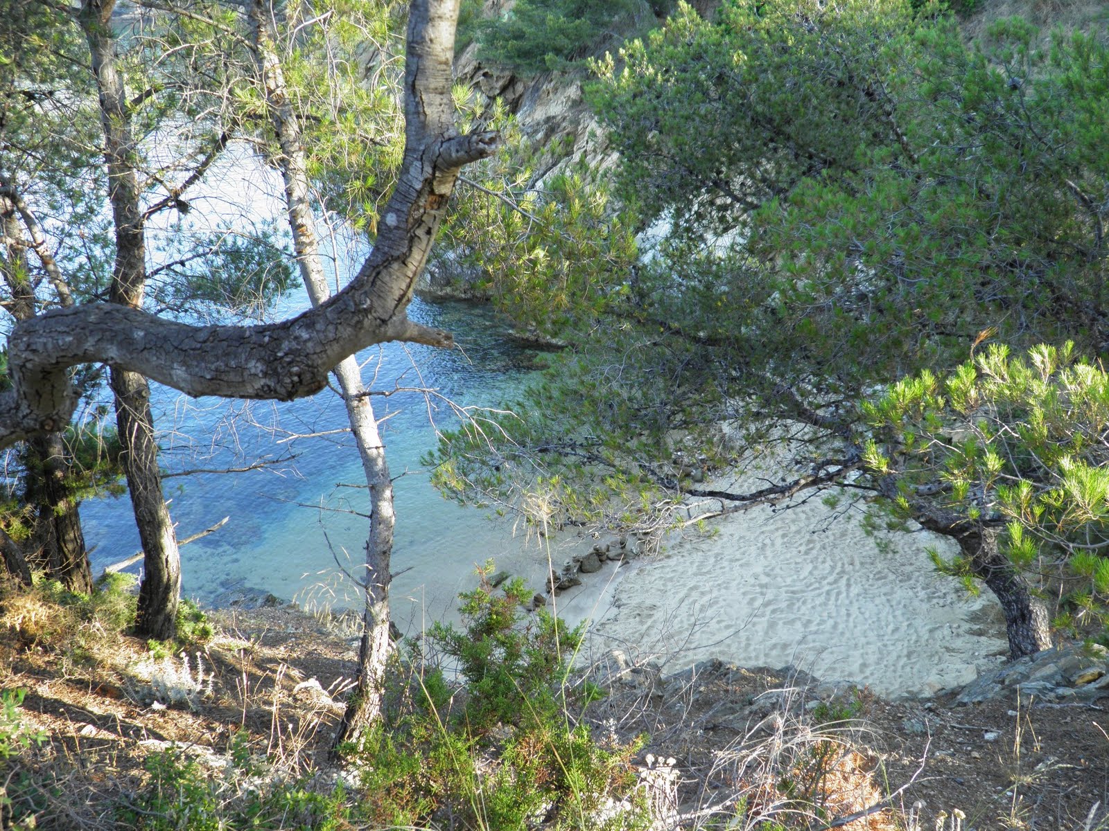 Pointe du Layet: Le Layet N°4