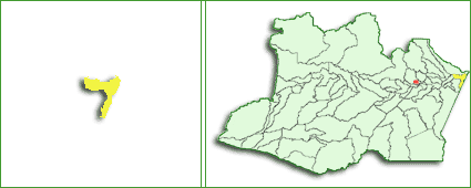 ARTESANATO PARINTINENSE