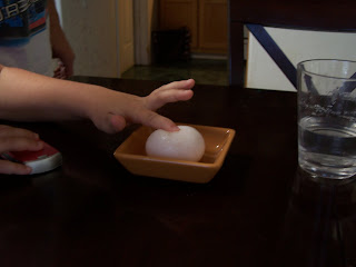 The Walk of MY LIfe: Kaitlynns Science Project - Soft Egg Shell Test