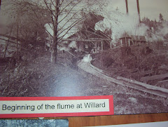 The Broughton Lumber Flume
