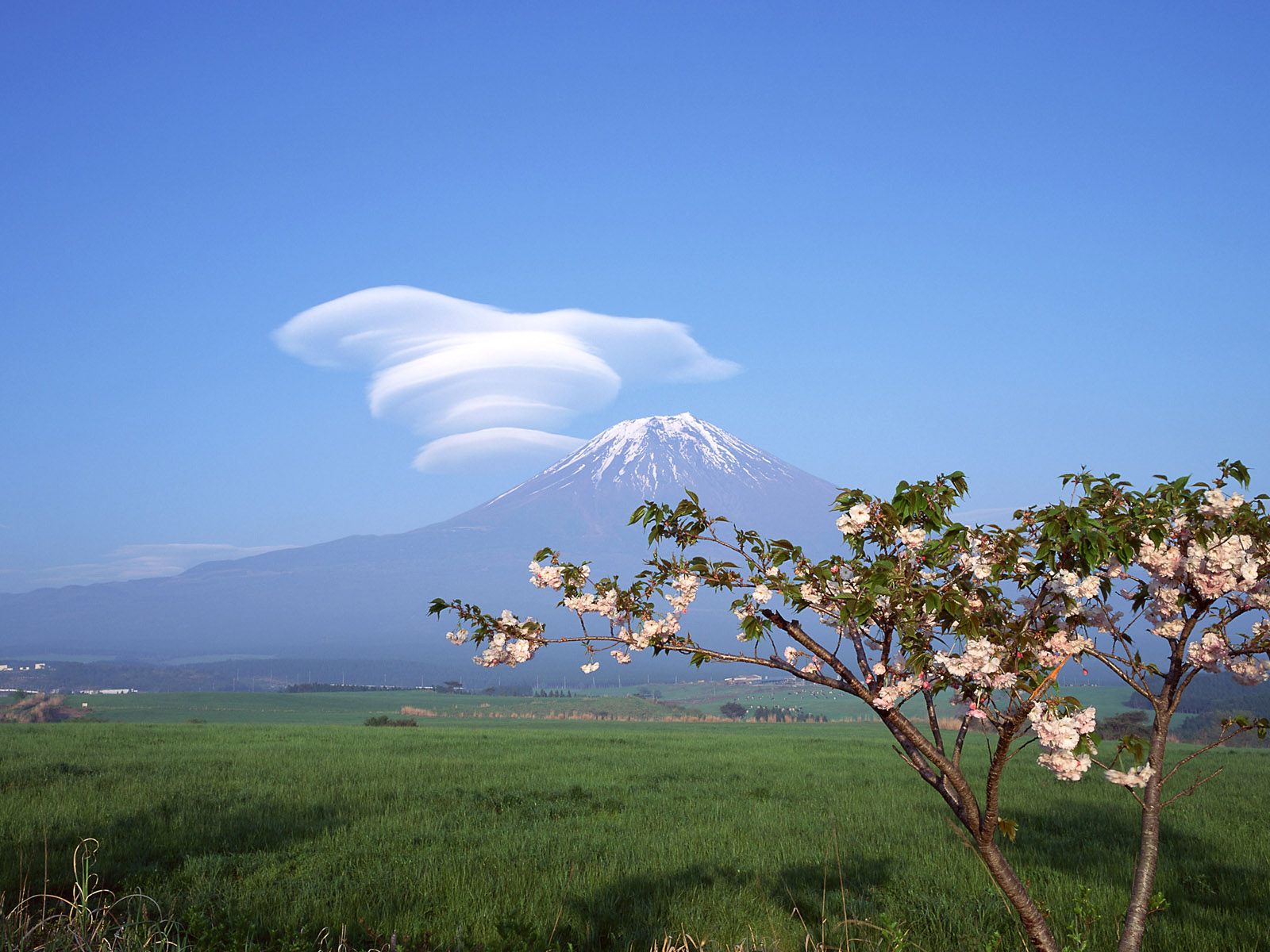 Fuji Fuji Fuji Fuji | Encyclopedia of World Photo